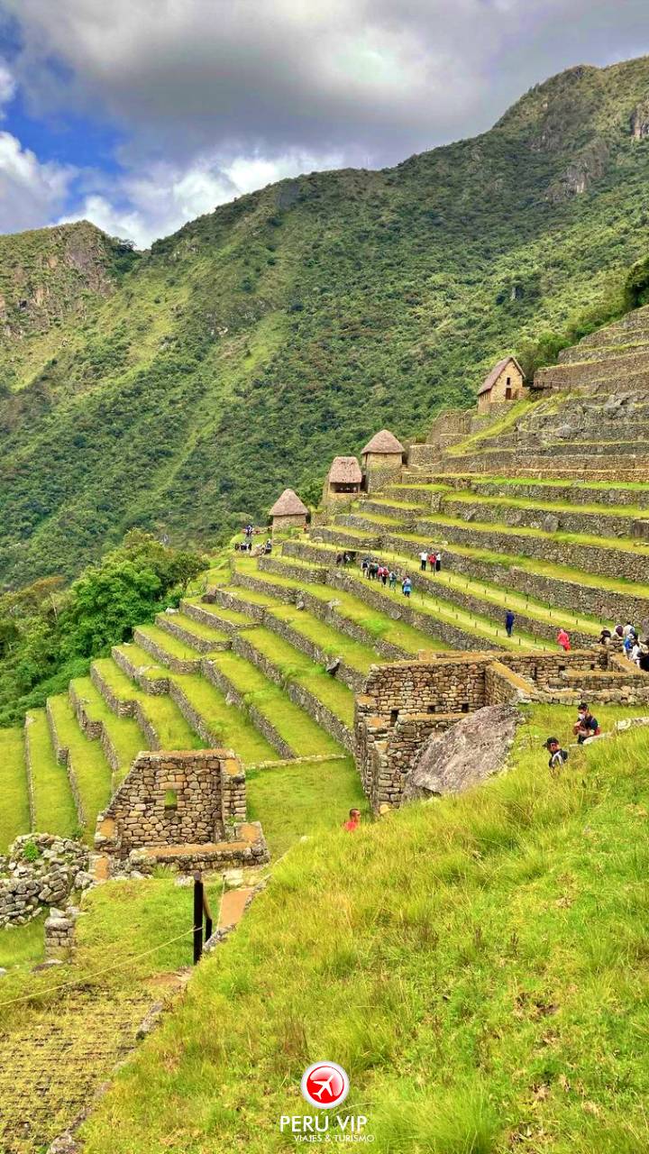 Tour Machu Picchu 1 día tren expedition o voyager | Perú Vip Viajes ...
